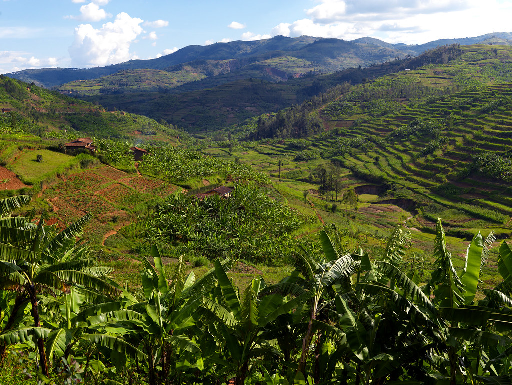 Visiting Rwanda- What You Should Know